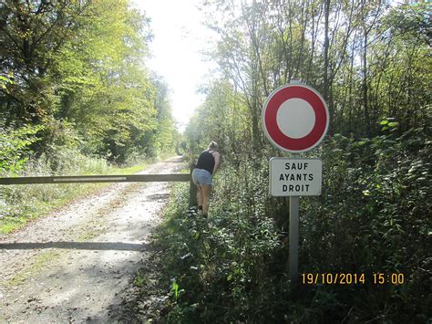 Mushroom Picking Porn Pictures Xxx Photos Sex Images 1658322 Pictoa