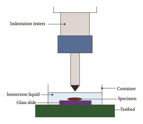 A Sketch Map Of Immersion Indentation Experiment And B