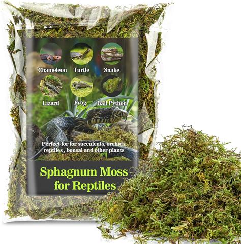 Sukh Sphagnum Moss For Reptiles Terrarium Reptiles Moss Green Dried Peat Moss