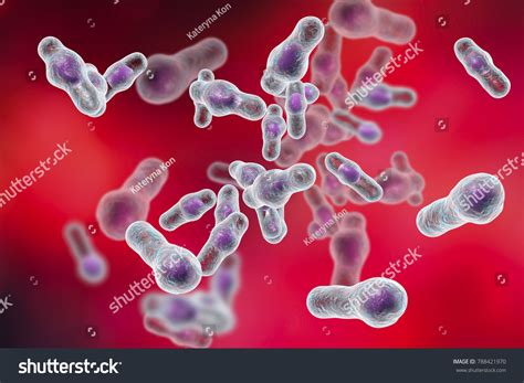 Clostridium Difficile Bacteria 3d Illustration Spore Forming Stock