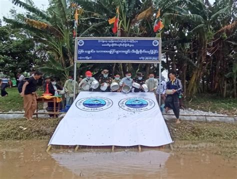 ထန်းတပင်မြို့ စစ်တောင်းမြစ်အတွင်းသို့ ငါး‌သားပေါက်ကောင်ရေ ၃ ၇ သိန်းမျိုးစိုက်ထည့် Information