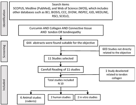 Flowchart Used In The Bibliographic Search Download Scientific Diagram