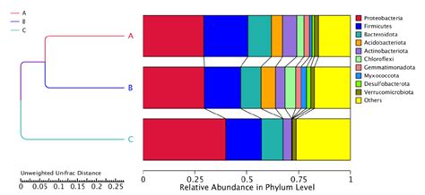 Unweighted Pair Group Method With Arithmetic Upgma Dendrogram Of