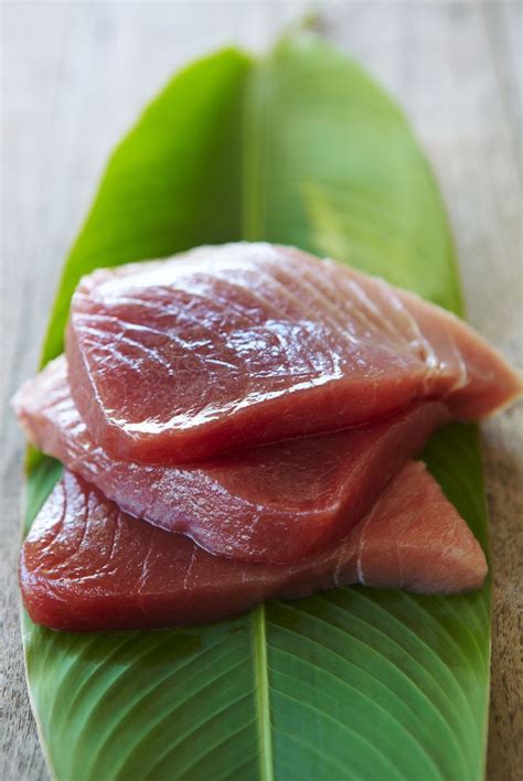 Know The Differences Between Different Types Of Tuna Artofit
