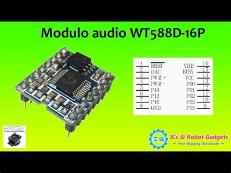 WT D P Voice Sound Module YouTube