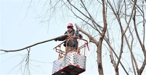 “绿美延吉”行动今年再添新亮点腾讯新闻