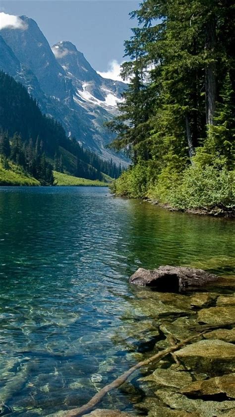 Exponential Functions 10th 11th Grade Flashcard Quizizz