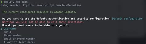 Aws Auth And Cognito Username Login Forgot Username And Restricting