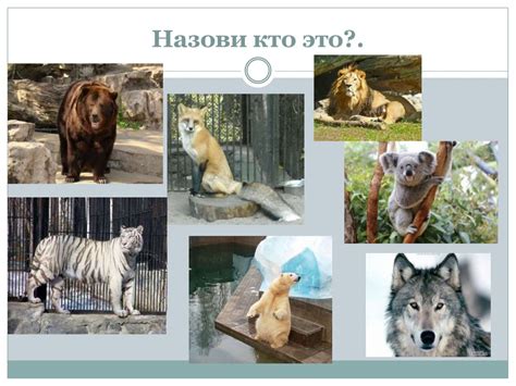 Дикие и домашние животные Сравнение 2 класс презентация онлайн