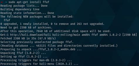 Everything You Need To Know About FFUF Codingo Ethical Hacking And Bug Bounty Advice