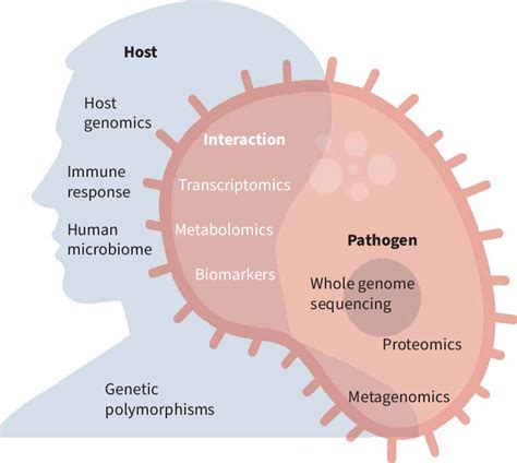 Omics For A Better Characterisation Of Host Pathogen And Host Pathogen Download Scientific