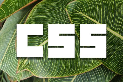 Design Vs Accessibility And The Css Visually Hidden Class Logrocket Blog