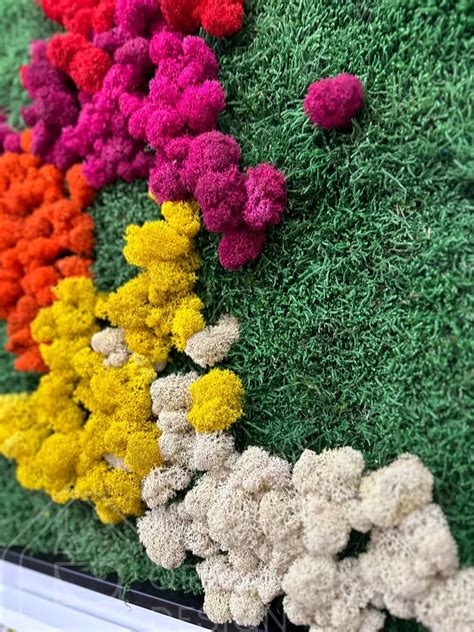 Картина з моху 90x60 см Ягель 822