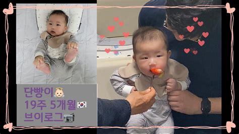 육아vlog 단빵로그11 5개월 아기 브이로그 계속 실패하는 수면교육 딸기 먹는 5개월 아기 갑작스레 자유부인
