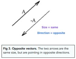 Drawing Vector Diagrams GCSE Physics Study Mind