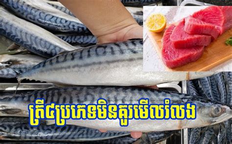 ត្រី ៤ ប្រភេទ ដែល ល្អ ខ្លាំង សម្រាប់ សុខភាព
