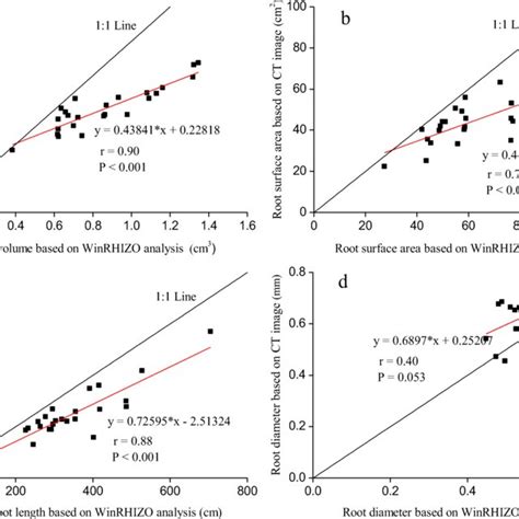 Responses Of 3d Root System Architecture Of Two Maize Cultivars Download Scientific Diagram