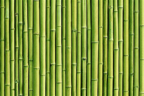 What Are The Different Applications Of Bamboo Worldatlas