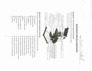 Chapter 4 Cells And Tissues CHADteR 4 COLLS AND HSSUeS HIStOLOGY Histology Cell