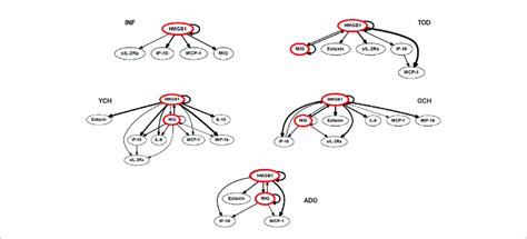 dynamic bayesian network dbn analysis of circulating inflammatory