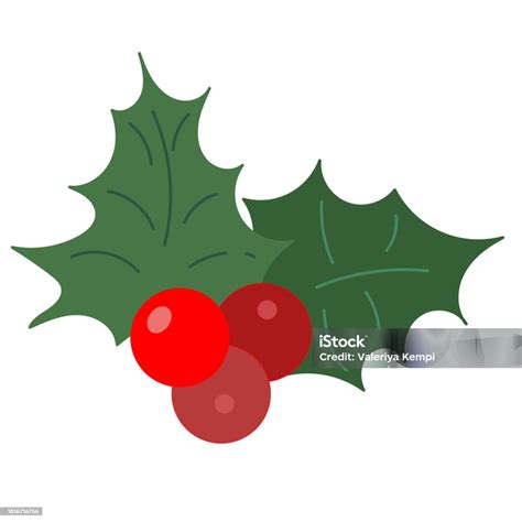 호랑가시나무 가지 열매 새해 벡터 일러스트 손으로 그린 것 흰색 배경에 고립되어 있습니다 엽서 인쇄물 스크랩북 및 포장을 위한 디자인 요소 2024년에 대한 스톡 벡터 아트