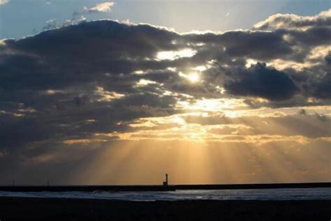 무료 사진 제목