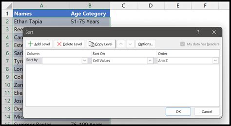 How To Perform A Custom Sort In Excel