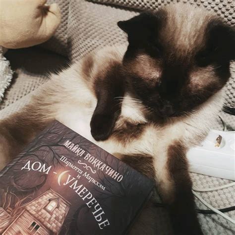 Книга: Шарлотта Маркхэм и Дом-Сумеречье - Майкл Боккачино. Купить книгу ...