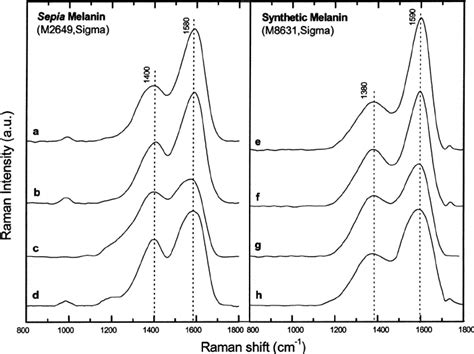 Raman Spectra Of Synthetic Dopa Melanin And Natural Melanin Isolated