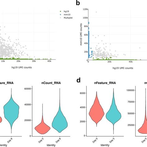 Clustering Of Scrna Seq Data In Murine 3t3 L1 Cells A Primary Download Scientific Diagram
