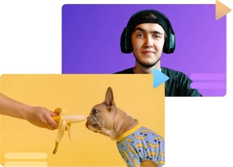 Best OBS Widgets To Use For Live Streaming HoneyOptics