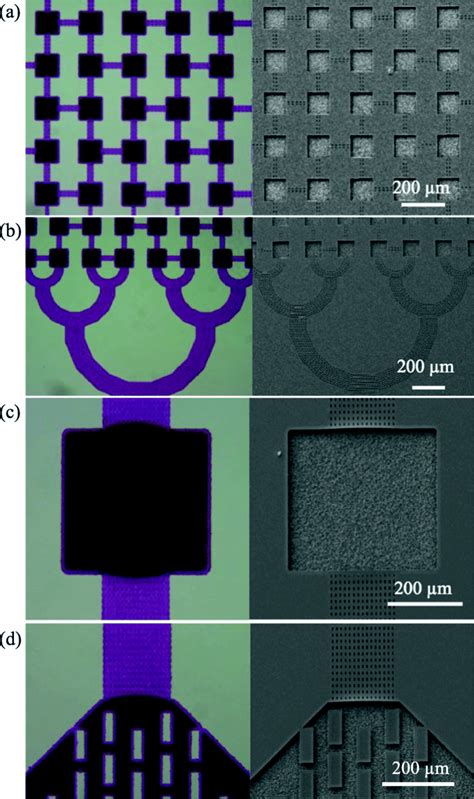 Optical Left Column And Sem Right Column Micrographs Of The