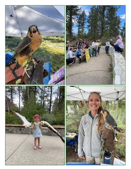 Lake Tahoe Basin Management Unit Wild Tahoe Festival Birds Native