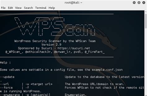 Kali Linux Website Penetration Testing