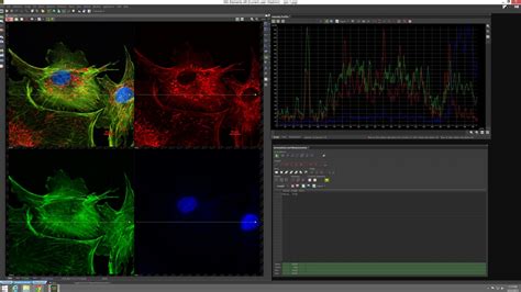 Image Analysis Software West Campus Imaging Core