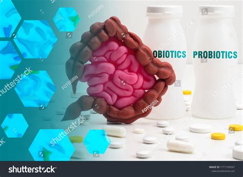 Useful Microorganisms Images