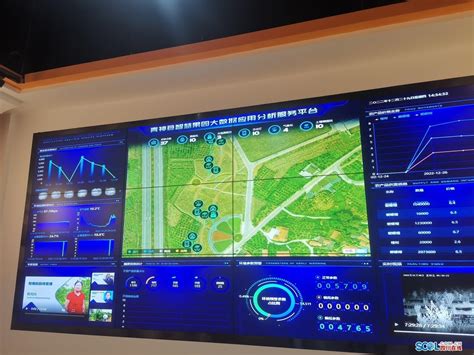 智慧果园显身手 青神柑橘种植尽显科技范四川在线