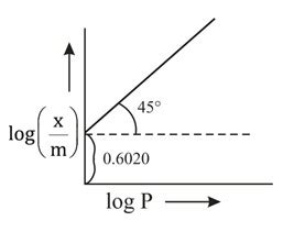 Graph Between Log X M And Log P Is Straight Line At Angle Of With The Intercept Of