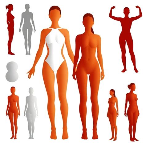 Premium Vector A Series Of Different Types Of Women With Different Outfits