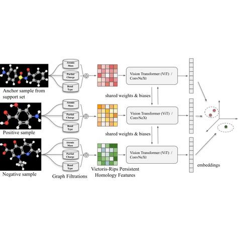 End To End Model Pipeline Anchor Sample X And Positive Sample