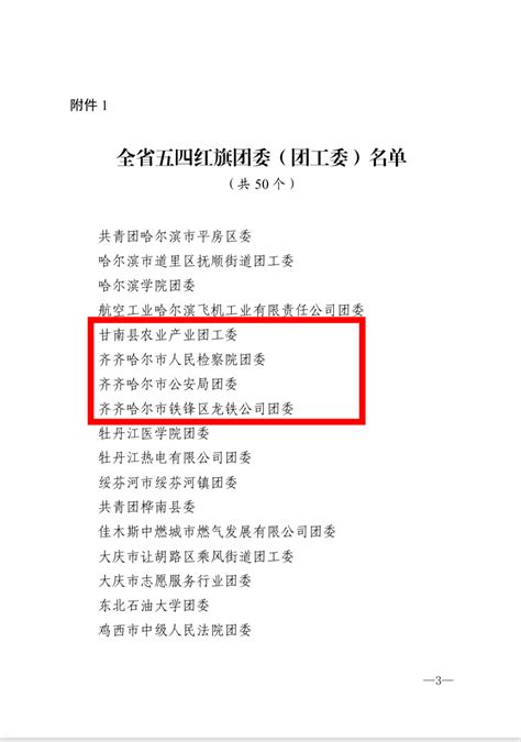 喜报黑龙江省两红两优光荣榜揭晓我市9个团组织和15名个人上榜 全省 表彰 称号