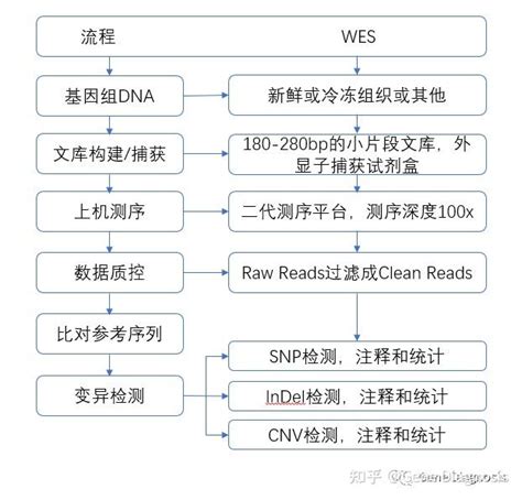 人类基因组全外显子测序相关知识简介及分析流程 知乎