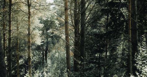 Sustainability Principles Eco Friendly Flooring Burmatex®