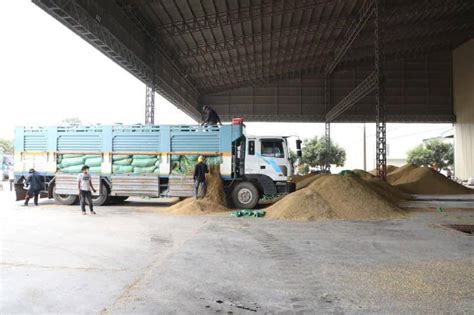 រដ្ឋមន្ដ្រីក្រសួងកសិកម្ម ធ្វើទស្សនកិច្ចសិក្សានៅរោងចក្រម៉ាស៊ីនកិនស្រូវ នៅខេត្តបាត់ដំបង