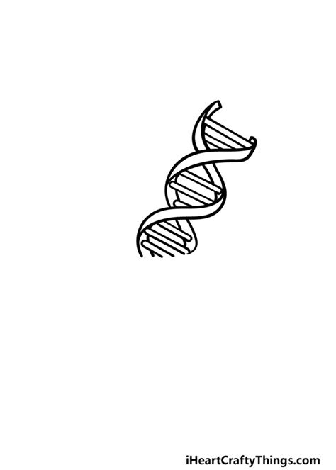 DNA Drawing How To Draw DNA Step By Step