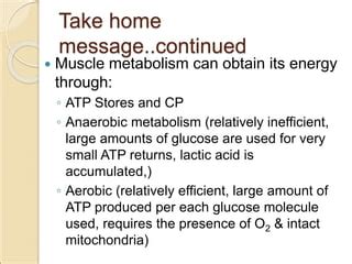 L3 Rs Aerobic And Anaerobic Metabolism In Muscles Msk Block Dec2013 Ppt