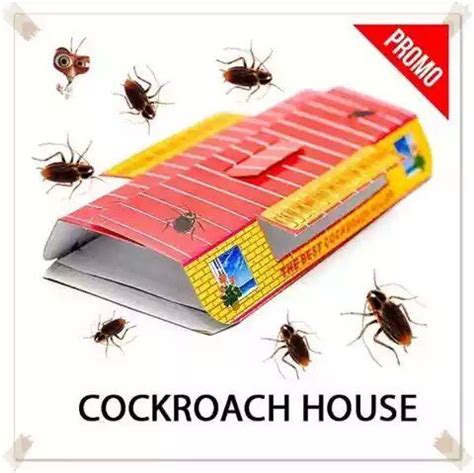 Клеевой Домик/ ловушка для тараканов COCKROACH | ЛУЧШАЯ подборка от ...