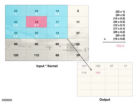 Convolutional Neural Networks Weights Biases