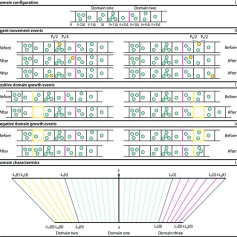 A Configuration Of The Domain In The Discrete Model Agents Exist On Download Scientific