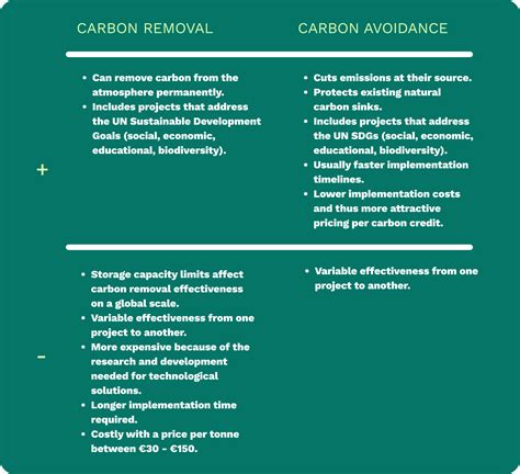 What Is The Difference Between Carbon Removal And Avoidance Projects